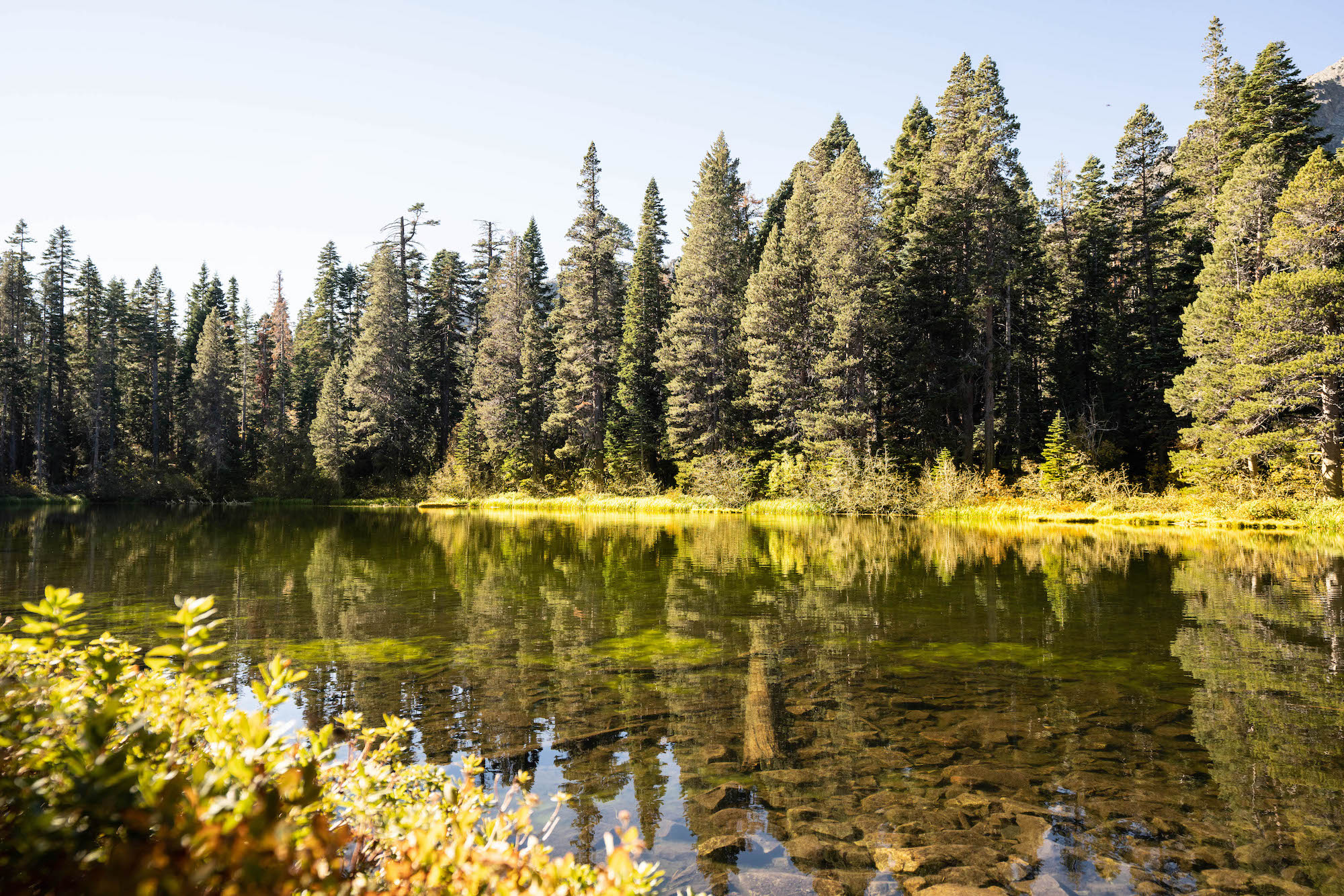 California Gold Country: A Road Trip Guide - The Eager Traveler