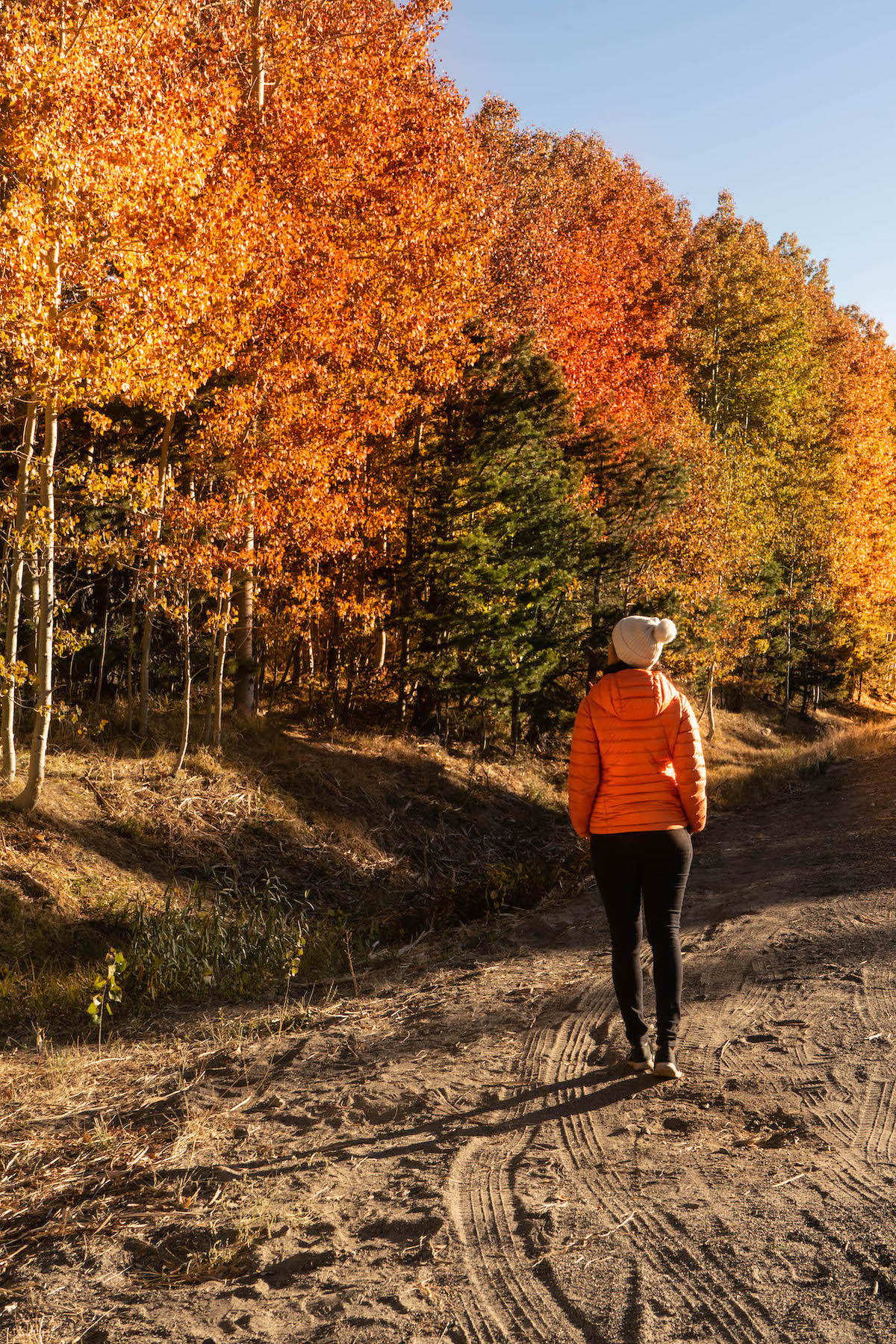California Gold Country: A Road Trip Guide - The Eager Traveler