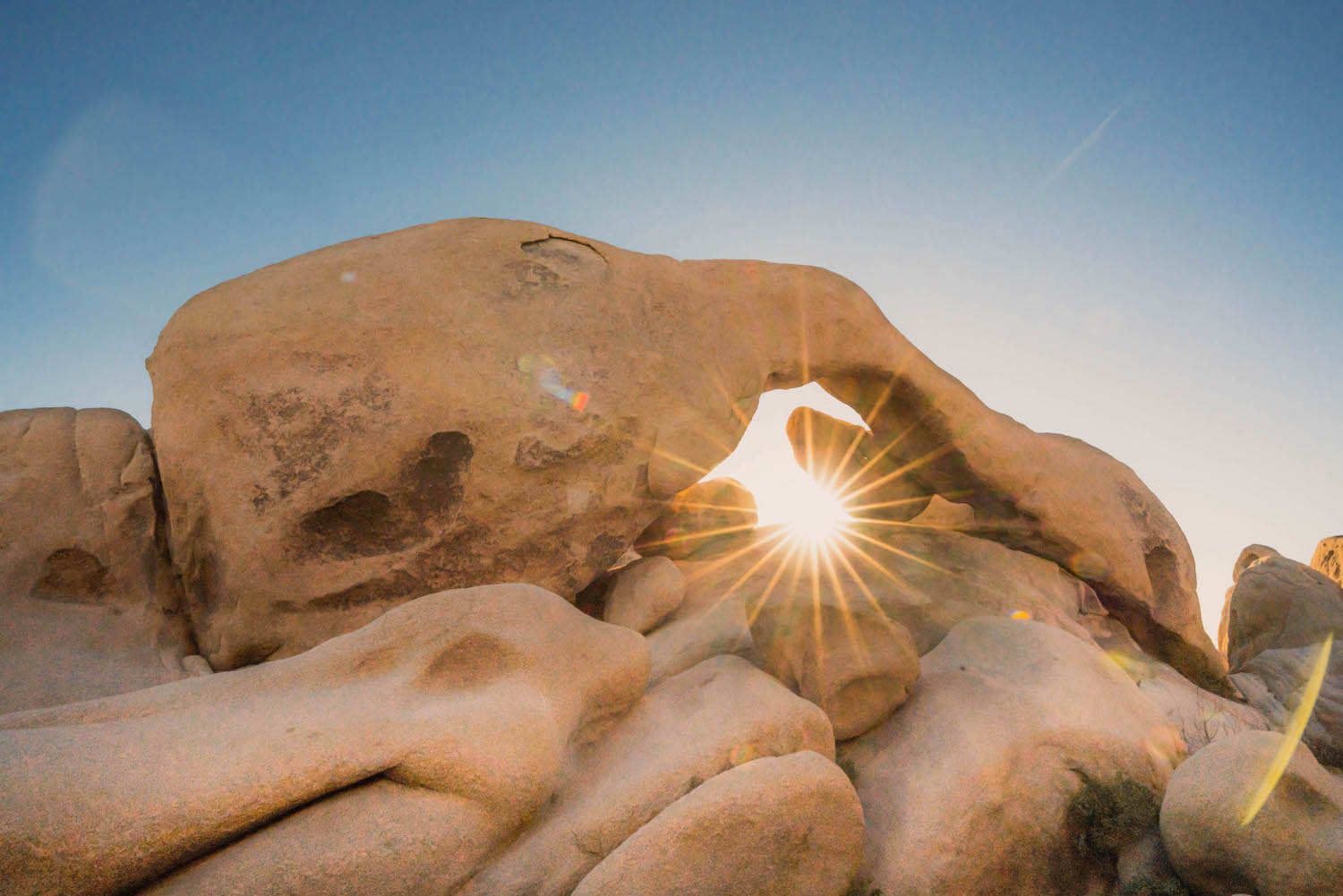Joshua Tree Camping Guide - The Eager Traveler