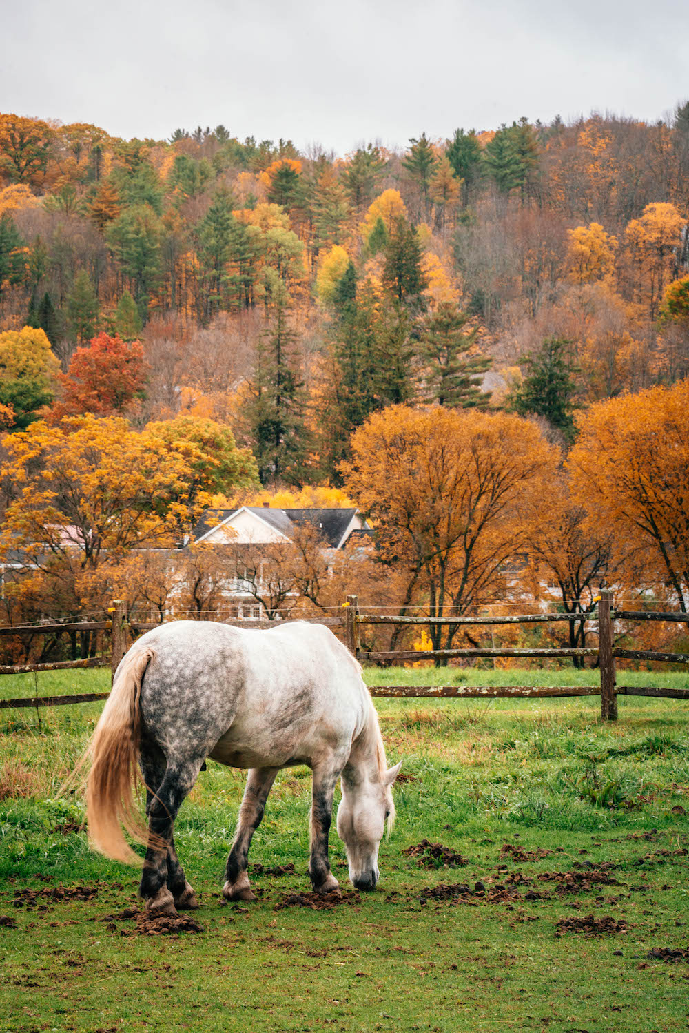 Things To Do In Vermont During Fall | Ultimate Fall Foliage Scenic Drive