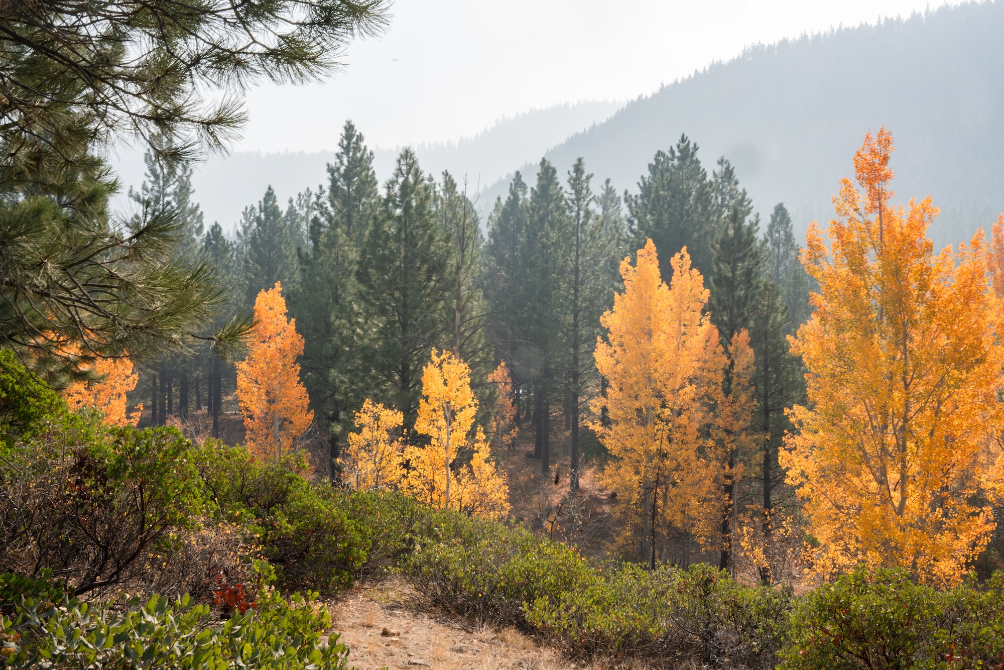 What to Do in Bend, Oregon for Outdoors Lovers